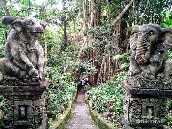 Melihat Tingkah Lucu Monyet di Ubud Monkey Forest