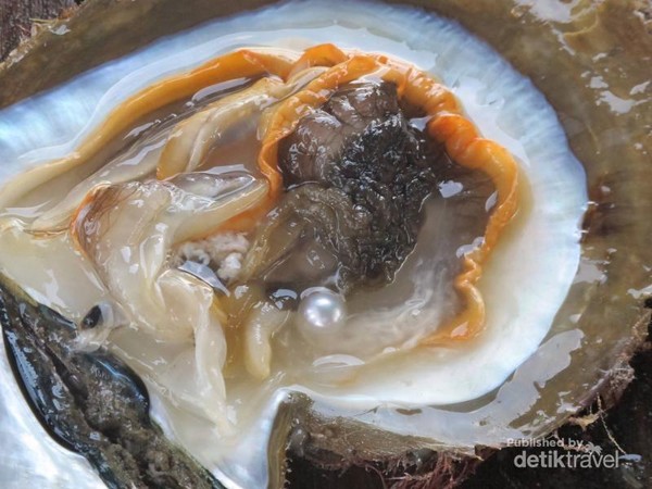 Mutiara di Raja Ampat