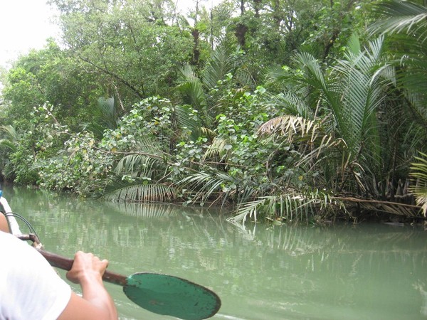 My Best Adventure in Karang Copong and Canoying Sungai Cigenter!