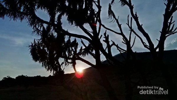 Pemandangan Menakjubkan di Gunung Gede