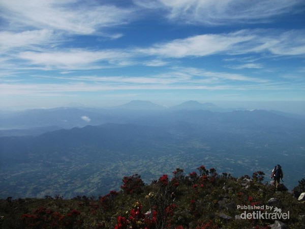 Puas Mendaki si Cantik Gunung Talamau di Sumbar
