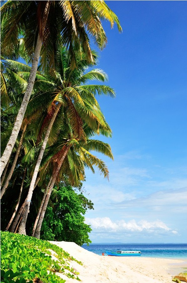 Pulau Matan, Satu Lagi Surga Diving di Papua Barat