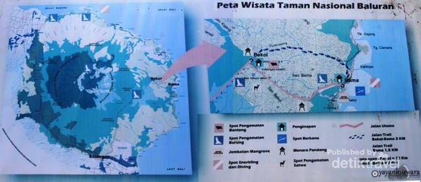 Savana Bekol, Tempat yang Eksotis di Baluran