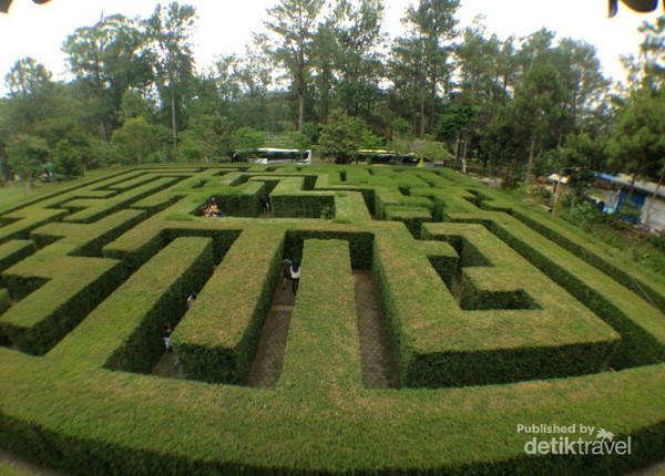 Sudah Tahu? Ada Labirin Keren di Air Terjun Coban Rondo