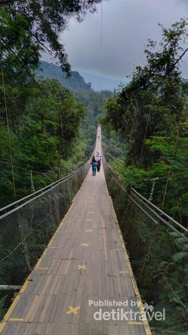 Sukabumi Punya Jembatan Gantung Terpanjang di Asia Tenggara