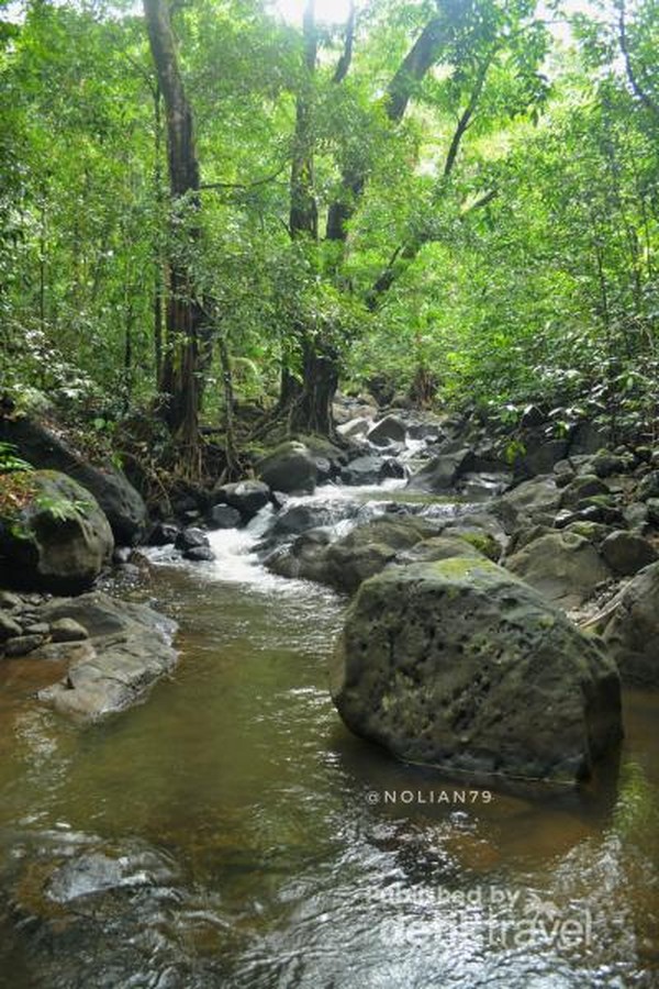 Surga Tersembunyi di Tengah Belantara Hutan Banjar Surga Tersembunyi di Tengah Belantara Hutan Banjar