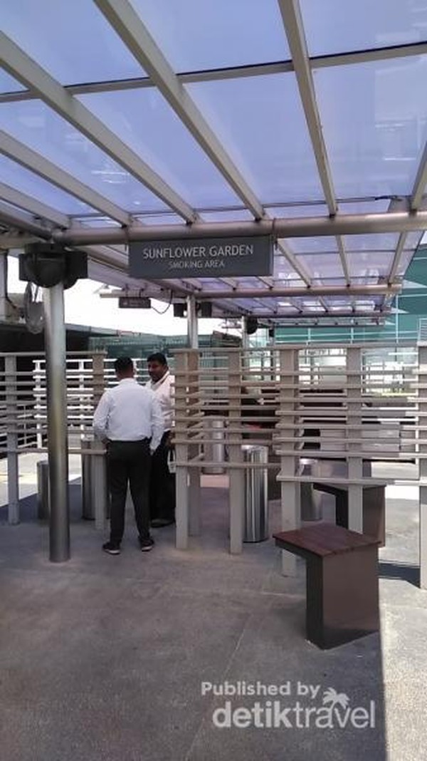 Taman Bunga Matahari yang Instagramable di Bandara Changi