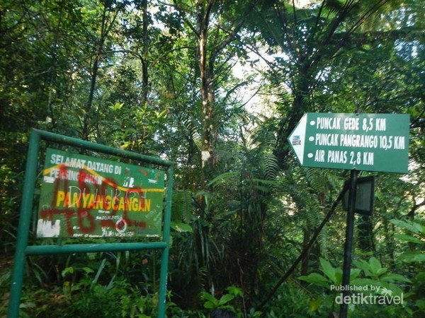 Tanjakan Setan yang Menantang di Gunung Gede