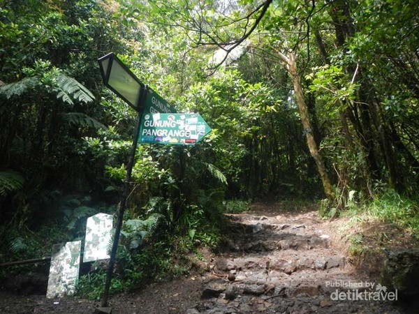 Tanjakan Setan yang Menantang di Gunung Gede