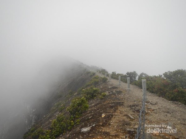 Tanjakan Setan yang Menantang di Gunung Gede