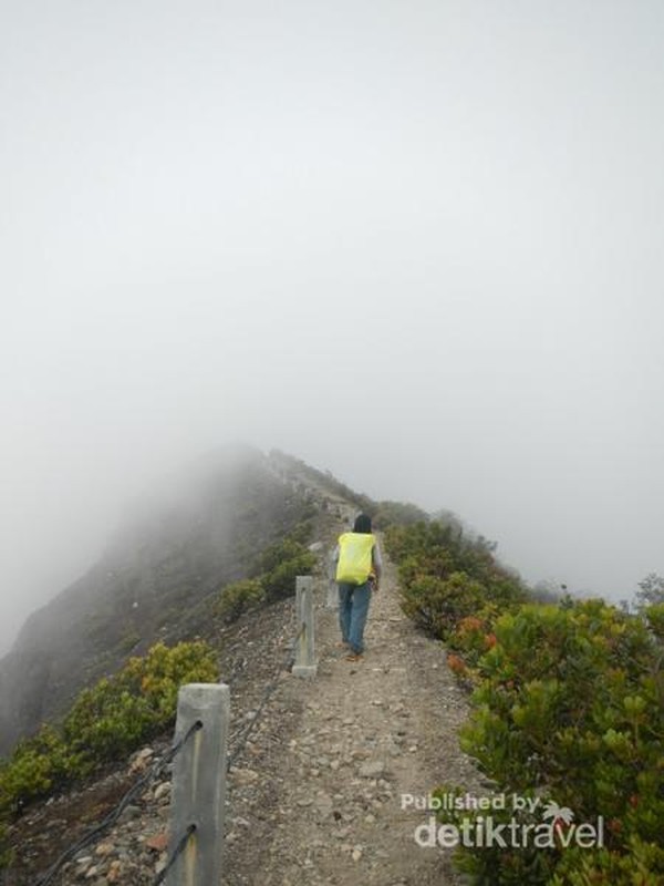 Tanjakan Setan yang Menantang di Gunung Gede