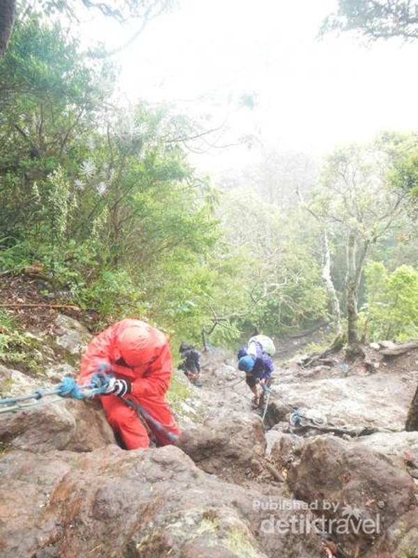 Tanjakan Setan yang Menantang di Gunung Gede