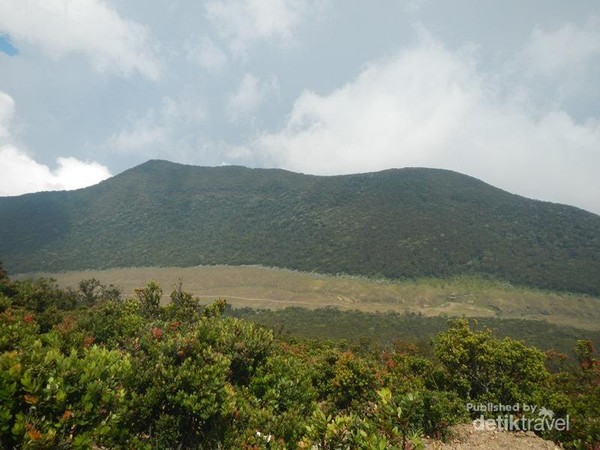 Tanjakan Setan yang Menantang di Gunung Gede