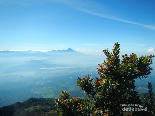 Tantangan Berat Mendaki Gunung Arjuno Lewat Alas Lali Jiwo