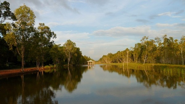 Uniknya Taman Nasional Wasur