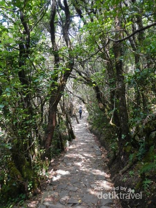 Weekend, Ayo Daki Gunung Gede Lewat Gunung Putri