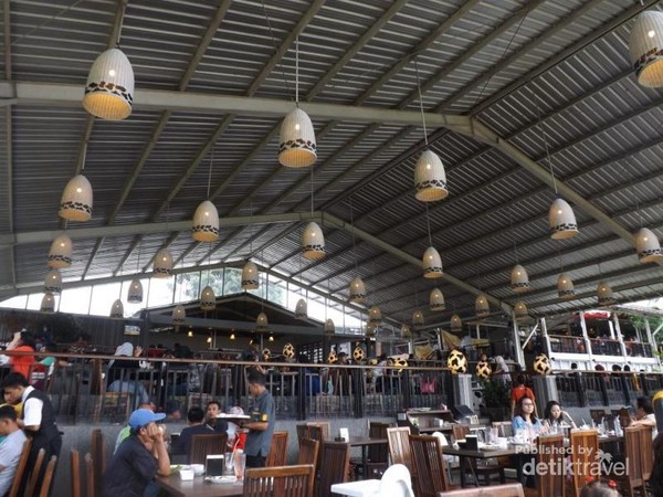 Wisata Edukasi Beri Makan Sapi di Cimory Semarang