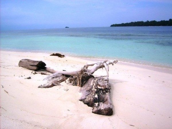1000 Island, Pulau Kayu Angin