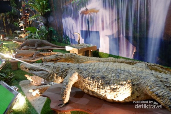 Asyik, Ada Aneka Flora dan Fauna di Lapangan Banteng