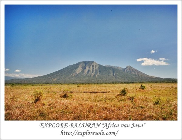 Baluran, Africa van Java