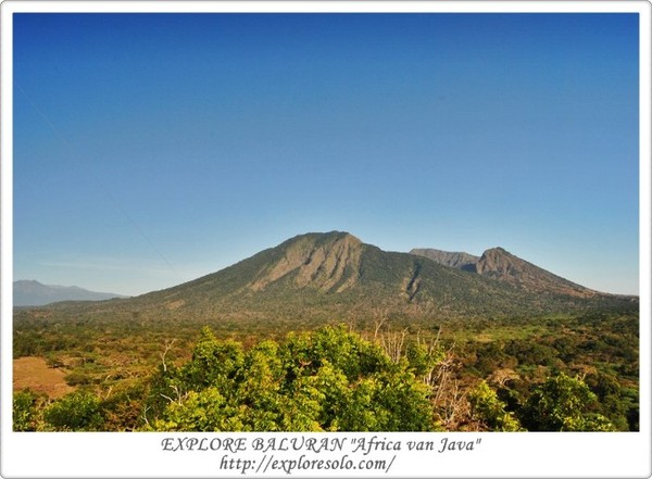 Baluran, Africa van Java