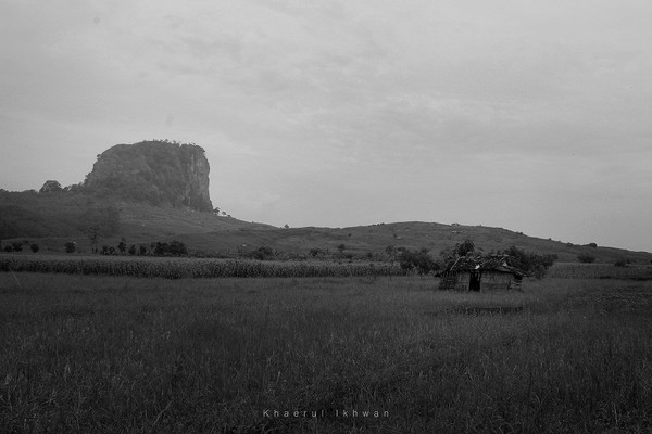 Gunung Gajah di Pemalang, Treknya Ekstrem dan Menantang!