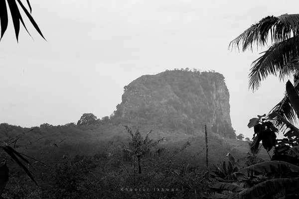Gunung Gajah di Pemalang, Treknya Ekstrem dan Menantang!