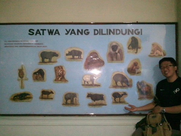 Hewan Awetan Aneh di Museum Zoologi Bogor