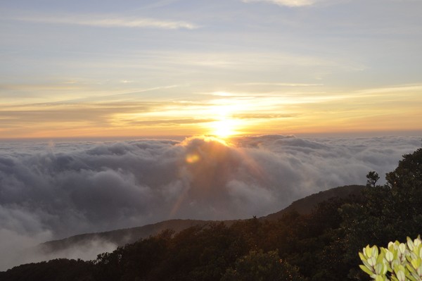 Keindahan Alam Gunung Gede