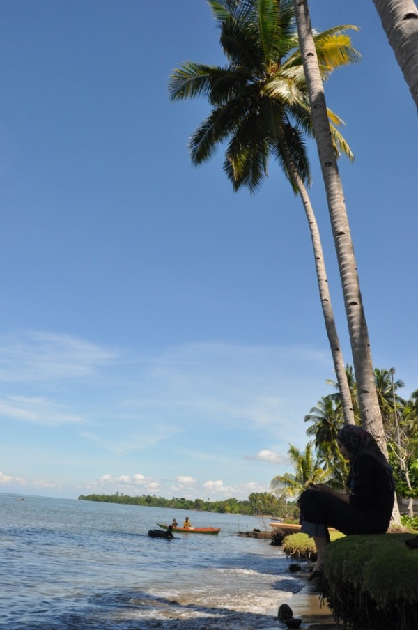 Nyiur Melambai di Pantai Lemo, Sulsel