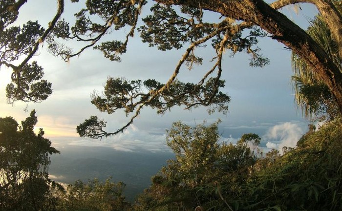 Petualangan Menjejaki Atap Sumatera Barat, Gunung Talamau