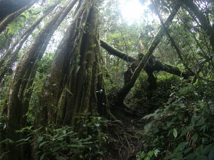 Petualangan Menjejaki Atap Sumatera Barat, Gunung Talamau