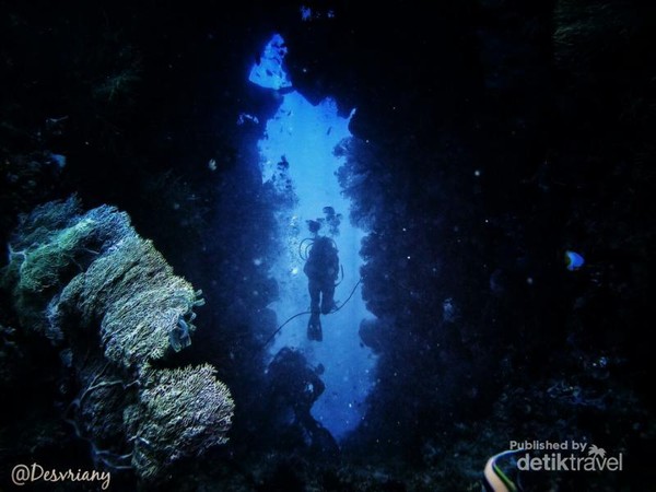 Potret Bawah Laut Banda yang Indah Nian