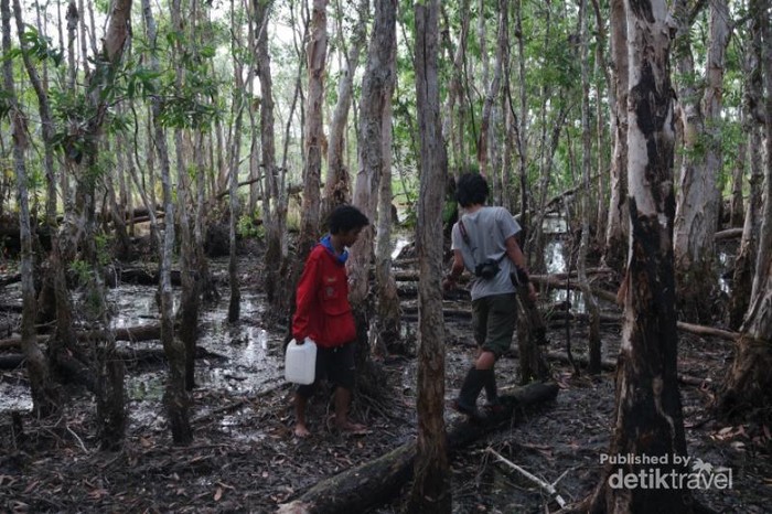 Sensasi Kemah dan Berburu di Tanah Datar, TN Wasur