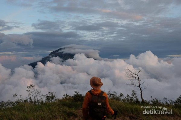Seperti Apa Serunya Mendaki Sindoro Via Alang-alang Sewu?