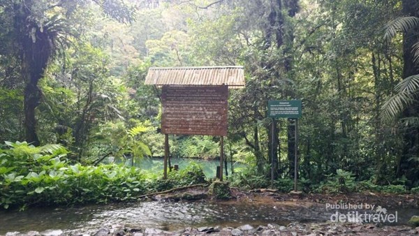 Telaga Misterius di Kaki Gunung Gede