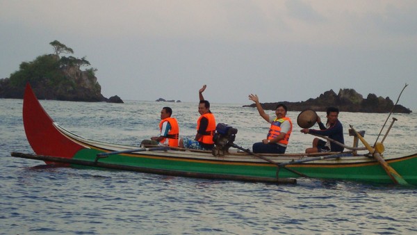 Teluk Kiluan, Habitat Terbesar Lumba-Lumba di Dunia