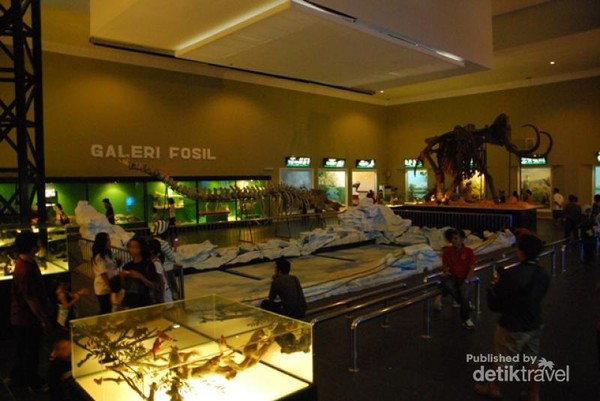 Tempat Asyik Belajar Hewan di Museum Satwa Jatim Park 2