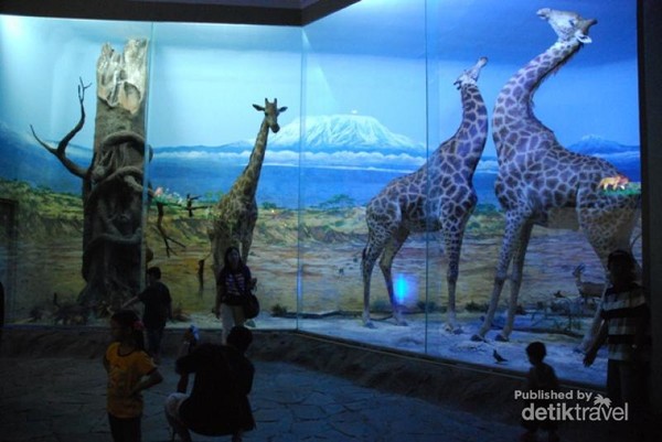 Tempat Asyik Belajar Hewan di Museum Satwa Jatim Park 2