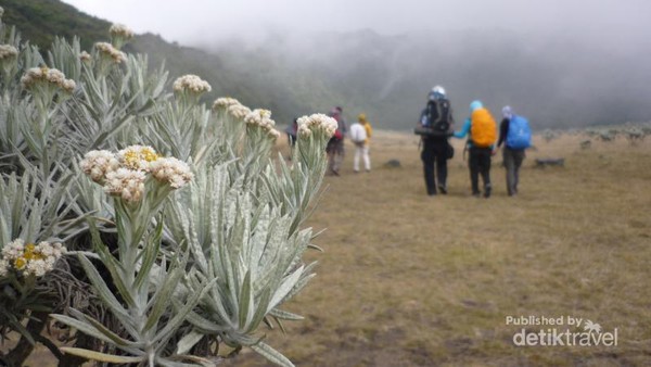 Terpesona Alun-alun Surya Kencana
