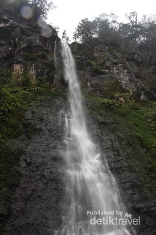 Yuk Habiskan Weekend di Gunung Gede Pangrango