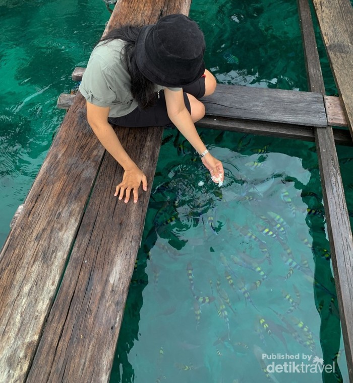 Eksotisme Bahari Pulau Friwen Raja Ampat