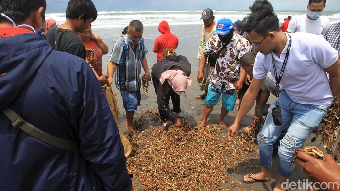 Melihat Lebih Dekat Prosesi Labuhan di Pantai Parangkusumo