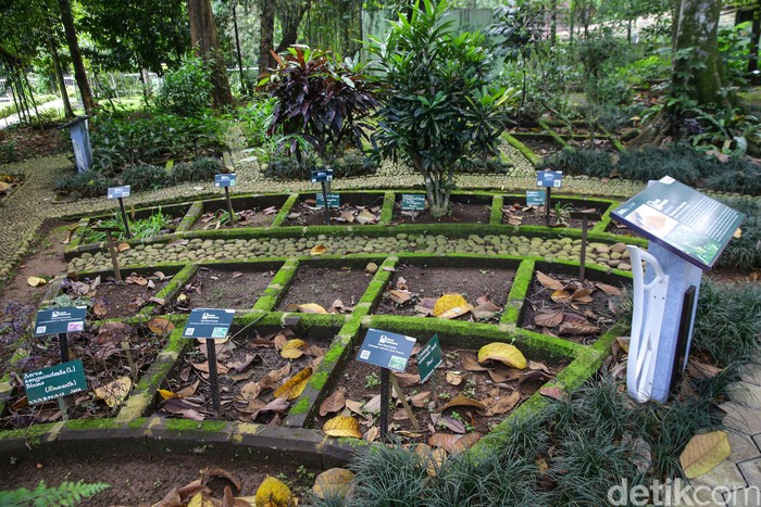 Potret Taman Tematik Baru di Kebun Raya Bogor