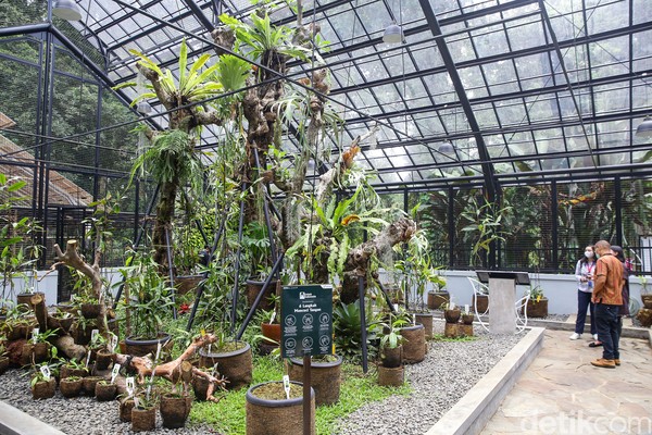 Potret Taman Tematik Baru di Kebun Raya Bogor