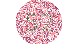 Tes Buta Warna, Benar Semua Tandanya Mata Kamu Masih Sehat!