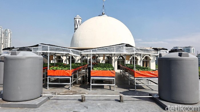 Kebun Pakcoy Aeroponik Ini Ada di Atap Masjid Lho