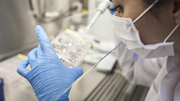 Mengenal Bioteknologi: Pengertian, Bentuk, Ciri-ciri, dan Contohnya Mengenal Bioteknologi: Pengertian, Bentuk, Ciri-ciri, dan Contohnya