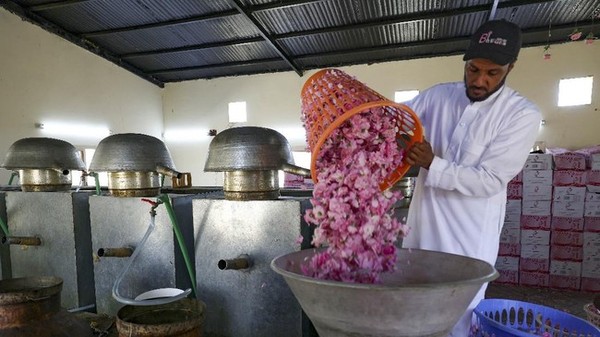 Foto: Kota Mawar di Arab Saudi