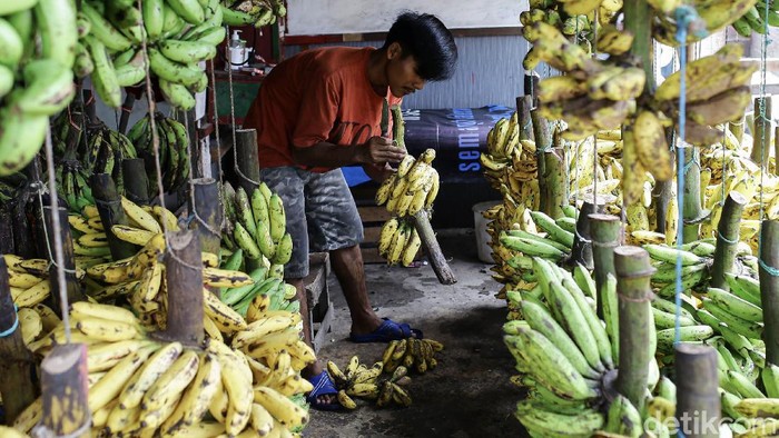 Lesunya Penjualan Pisang di Pasar Kebayoran Lama